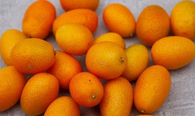 Kumkuat (Kamkat) Nedir? Kumkuat Faydaları Nelerdir? - Nedir? - Gulum.net