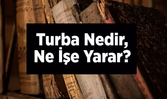 Turba Nedir? Turba Nerede Çıkarılır? - Faydalı Bilgiler - Gulum.net